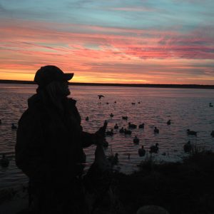 MO Mallards - Game Farm and Guide Service Listing in Missouri ...